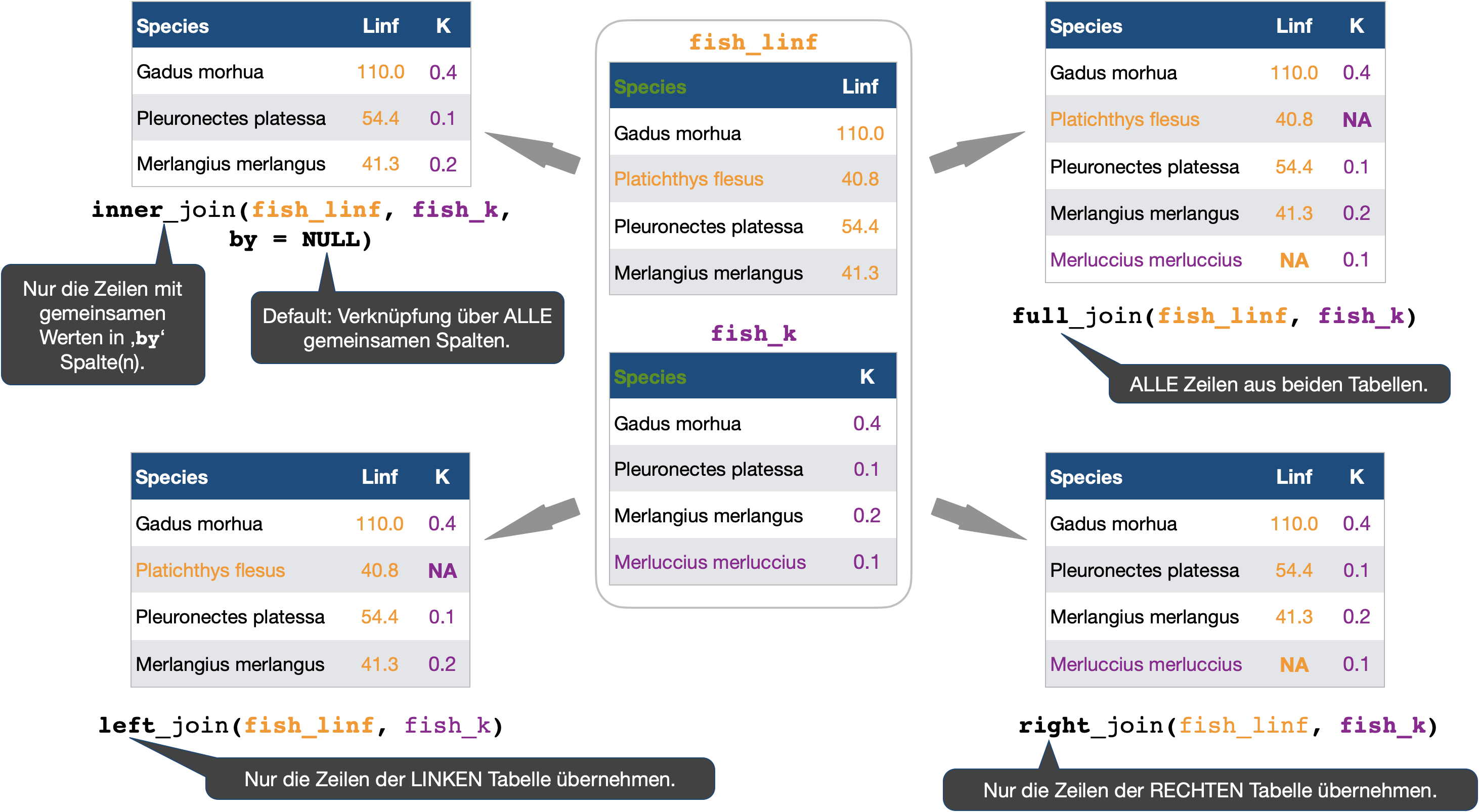 Datenaufbereitung mit tidyverse: Transformation und Anreicherung